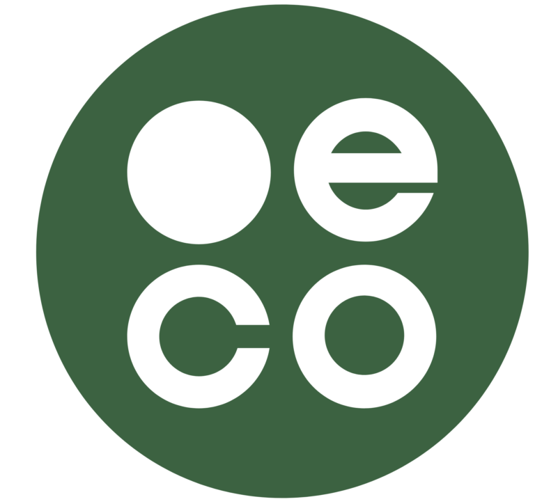 Dragonfly: An exploration of eco-fiction - Blowing your mind with wild ...