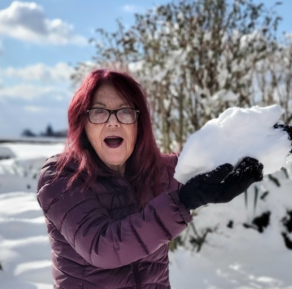 Indie Corner – Arlene Mark - Dragonfly: An exploration of eco-fiction