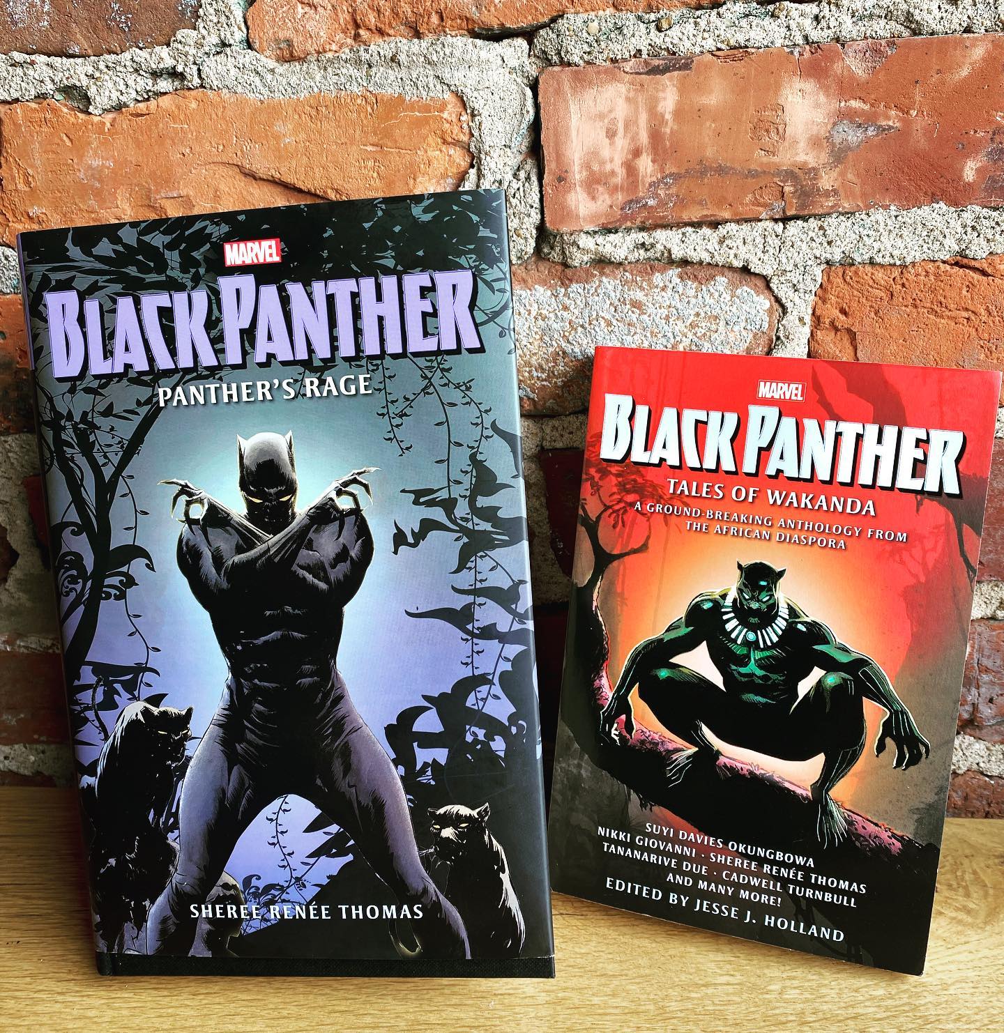 Spotlight - Oghenechovwe Ekpeki, Zelda Knight, and Sheree Renée Thomas - Dragonfly: An ...